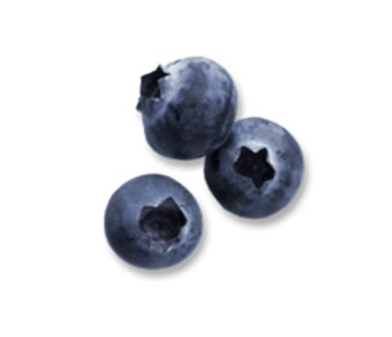 Todo sobre la Mora Azul - Nuestros ingredientes | Garnier México