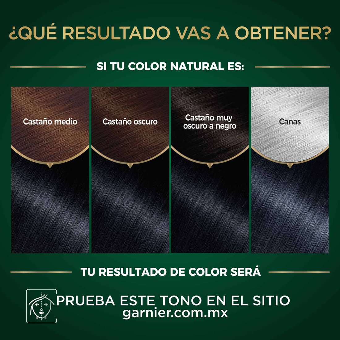 Tono 211 negro platinado | Nutrisse Oleos | Garnier México