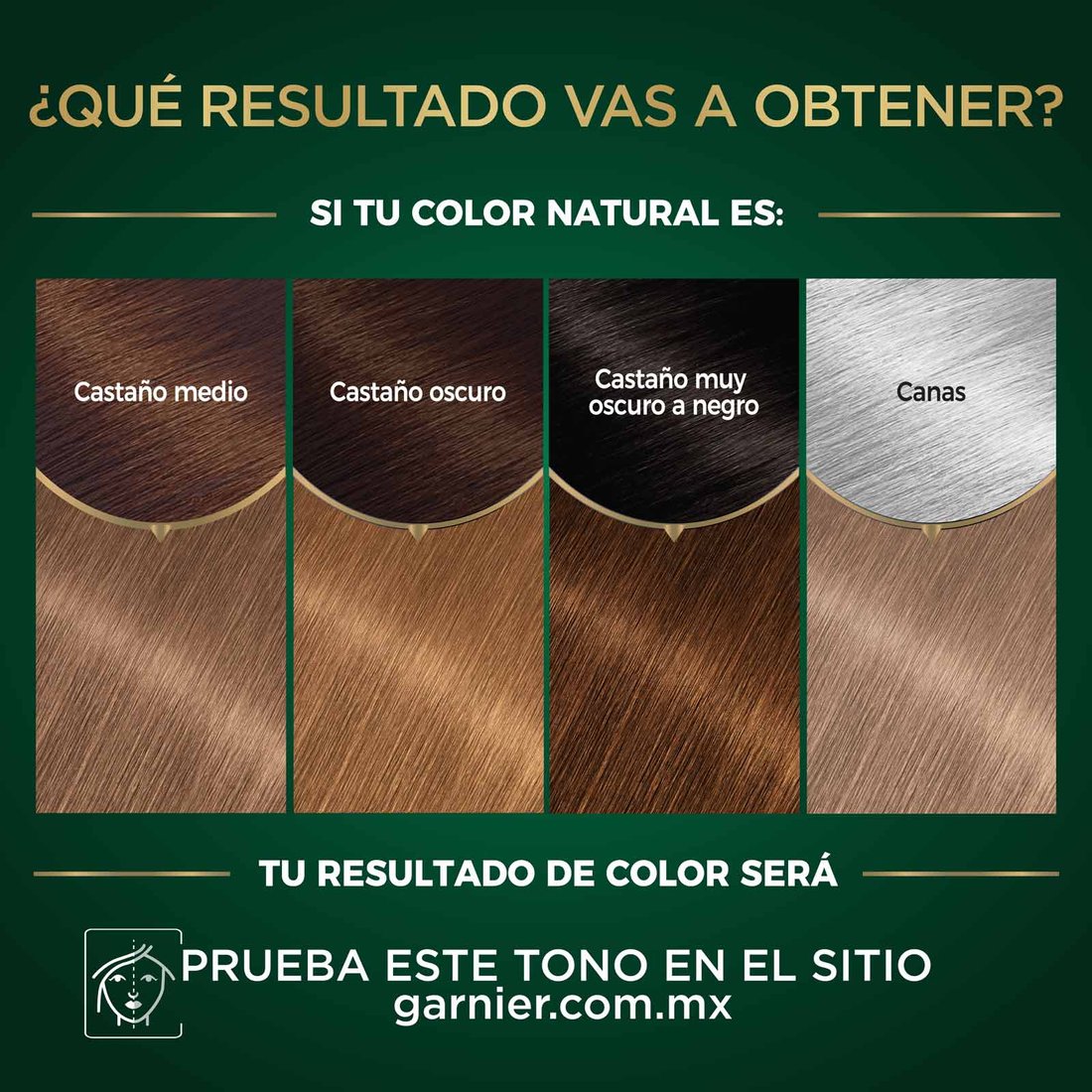 Tono 712 rubio cenizo nacarado | Nutrisse Oleos | Garnier México