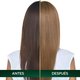 Tono 80 rubio claro | Nutrisse Oleos | Garnier México