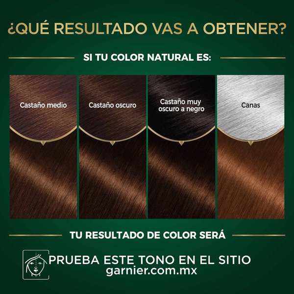 Tono 67 rubio oscuro chocolate | Nutrisse Oleos | Garnier México