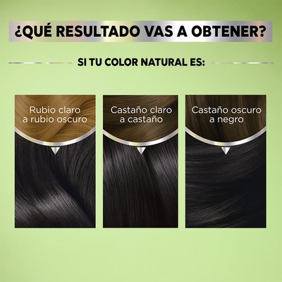 Tinte para cabello Negro Ébano | Nutrisse de Garnier México